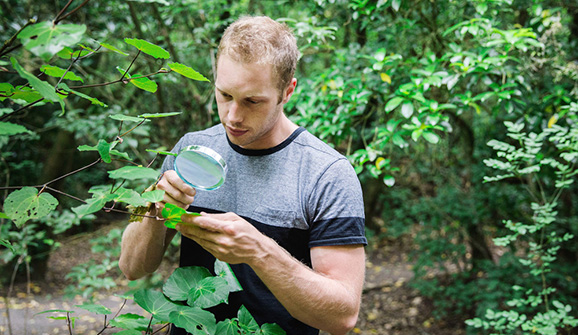Master of Science (Plant Biology) Master of Science (Plant Biology ...