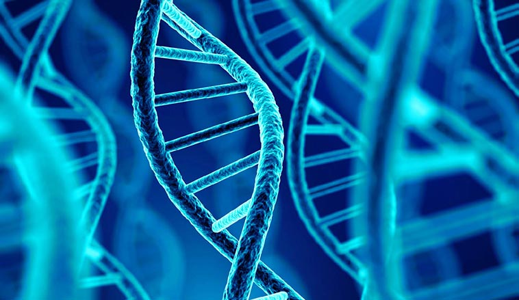 Bachelor of Science Integrative Biology - Massey University