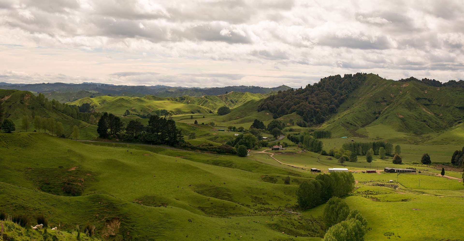 Soil and land management research - Massey University